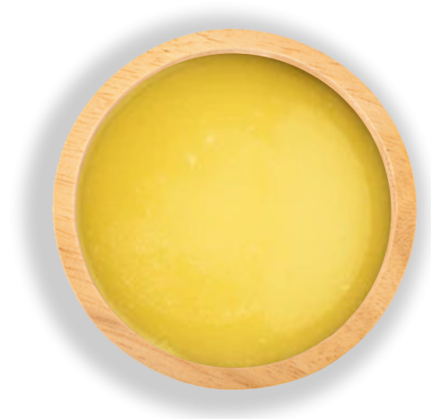 Home - Shyam Dairy Products